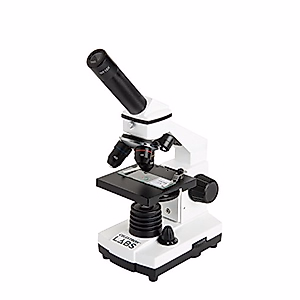Celestron – Celestron Labs – Monocular Head Compound Microscope – 40-800x Magnification – Adjustable Mechanical Stage – Includes 2 Eyepieces and 10 Prepared Slides