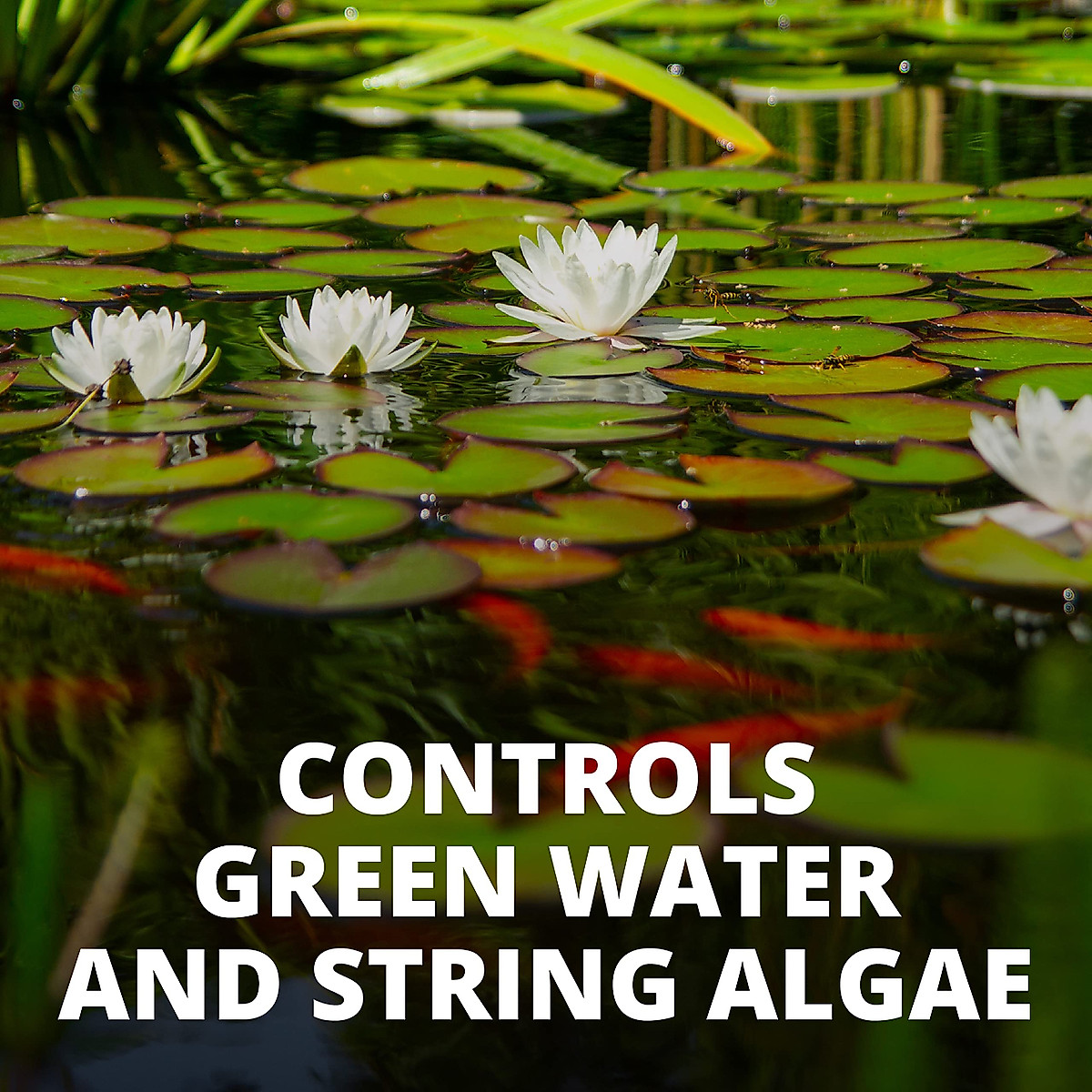 TetraPond Algae Control Treatment For Use With Fish & Plants, 33.8-Ounce