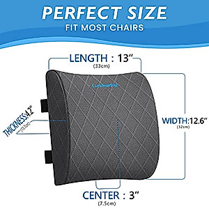 LumbarPal Lumbar Support Pillow for Office Chair Back Support Lumbar Pillow for Car, Gaming, Office Chair - Improve Sitting Posture & Back Pain Relief, Memory Foam, Adjustable Straps, Grey