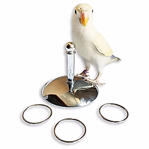 YANQIN Bird Toys Parrot Stacking Rings Toys Stainless Steel Tabletop Training Chew Toys for Small and Medium Parrots and Birds Developing Bird Intelligence (Small)