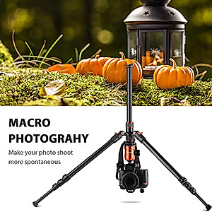 [Upgrade Version] GEEKOTO 77'' Tripod, Aluminum Camera Tripod Monopod, Foldable DSLR Tripod for Travel, Compact Tripod with 360 Panorama Ball Head Quick Release Plate for Travel and Work