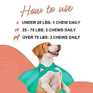 WONDER PAWS Daily Multivitamin Chews Plus Skin + Coat Chews - for Dogs Immune Support, Digestive Health, Joint Support, Skin & Coat - Daily Multi 60 Chews - Skin + Coat 70 Chews