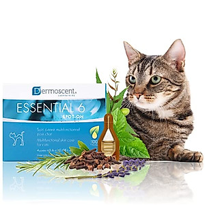 Essential 6 spot-on for Cats - Skin Care for Dandruff Dry or Oily Skin & Hair Loss - Natural Essential Oils & Fatty Acids - Healthy Skin & Coat - 4 Pipettes of 0.6 ml / 0.08 fl. oz