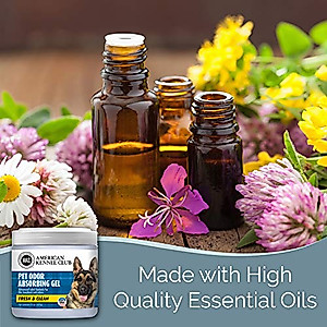 SMELLS BEGONE Pet Odor Absorber Gel - Air Freshener & Odor Eliminator - Made with Essential Oils - Fresh & Clean Scent - 15 Ounce