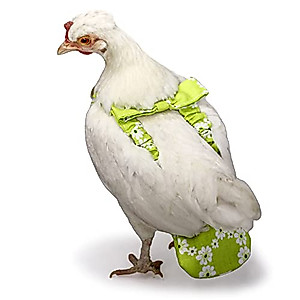 Washable Chicken Diapers for Hens or Roosters - Fashionable Nappy - Pet Chicken Diaper (Cocoa, Medium)