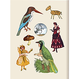 The Antiquarian Sticker Book: Bibliophilia (The Antiquarian Sticker Book Series)