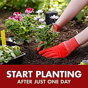 Spectracide Weed & Grass Killer 2, Use On Driveways, Walkways and Around Trees and Flower Beds, 32 fl Ounce Spray