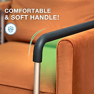 GreenChief Couch Standing Aid for Elderly - Safety Couch Cane, Seat Lifter Chair Lift Assist Handle, Stand Assist Device, Mobility Daily Aids for Senior, Disabled, Handicap (400 LBS)