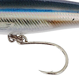 X-Rap Long Cast 14 Anchovy