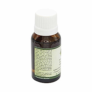 R V Essential Pure Oregano Essential Oil 5ml (0.169oz)- Origanum Vulgare (100% Pure and Natural Therapeutic Grade)