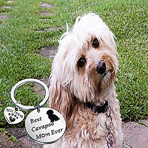 Lywjyb Birdgot Best Cavapoo Mom Ever Keychain Dog Lover Best Friend Cavapoo Gift (Best Cavapoo ky)