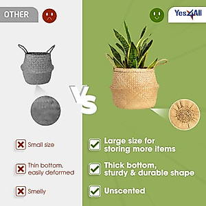 Yes4All Woven Seagrass Plant Basket, Handwoven Belly Basket For Plants, Wicker Planter Basket, Foldable Seagrass Belly Basket for Storage, Large Plant Baskets Indoor (Large Size 13.4 inches)