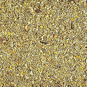 Kaytee Waste Free Bird Seed Blend, 5-Pound (2 Pack)