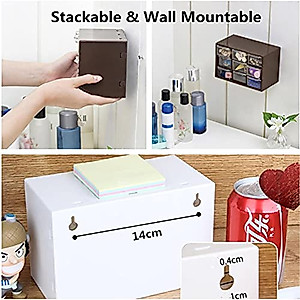 ReachTop Desk Craft Organizer Storage with Removable Mini 9 Drawers Holder for Office Home Collection Caddy Small Belongings Art Craft, Wall Mounted, White