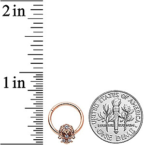 Body Candy 16G Plated Steel Hinged Segment Ring Seamless Cartilage Nipple Rosy Clear Accent Nose Hoop 3/8"