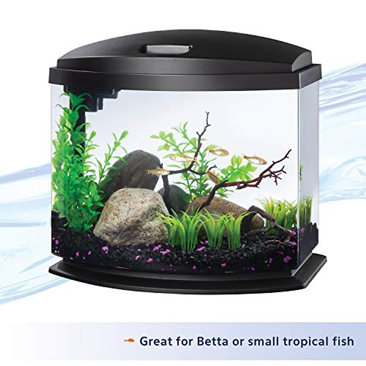 Aqueon LED MiniBow Small Aquarium Fish Tank Kit with SmartClean Technology, Black, 5 Gallon