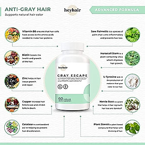 heyhair Gray Escape Advanced Anti Gray Hair Growth Supplement - Catalase, Saw Palmetto, Biotin, FoTi, PABA (2 Capsules per Day / 1 Month Supply)