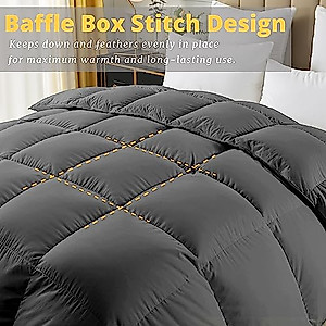 ELNIDO QUEEN Feather Down Comforter Queen Size - Grey Down Duvet Insert - Luxurious Fluffy Hotel Style Bedding Comforter - 100% Cotton Cover All Season Medium Warmth - Queen Size (90x90 Inch)