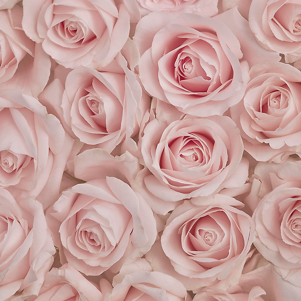 Avon Today Eau de Parfum for Her 50ml - 1.7fl.oz.