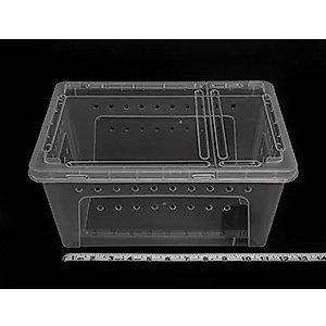 Large Clear Stackable Invertebrate & Reptile Keeper Box with Hinged Lid