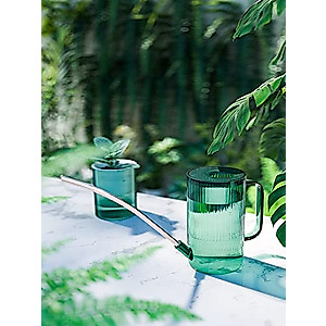 COTREPY Watering can, Long Nozzle, Watering Indoor Garden Plants, Modern Large Watering Globes, 1L (42.3fl Oz, 0.26 Gal), Suitable for Plants, Flowers, Bonsai, Gardens and Micro Landscapes(Green)