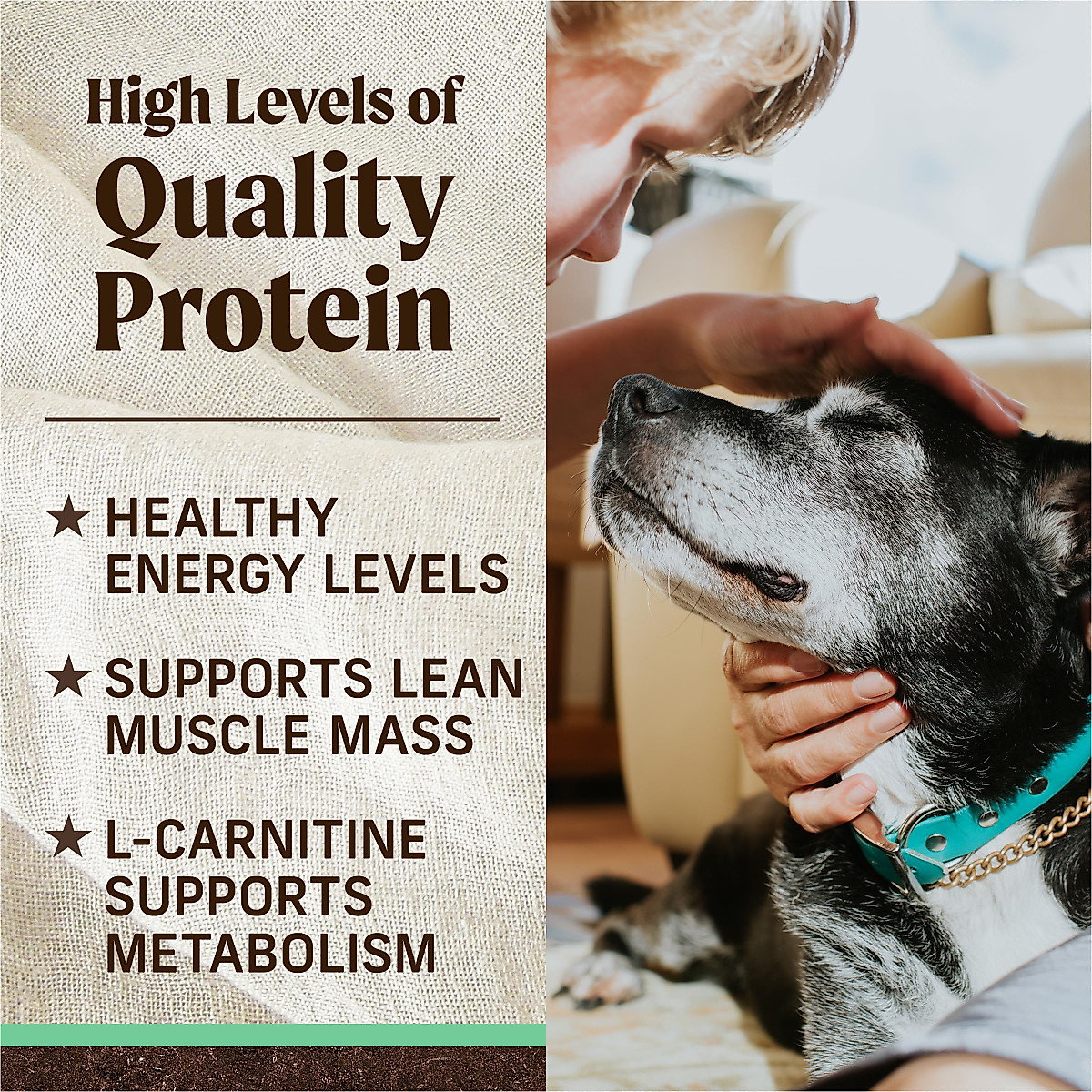 Merrick Premium Grain Free Dry Senior Dog Food, Wholesome And Natural Kibble, Real Chicken And Sweet Potato - 10.0 lb. Bag