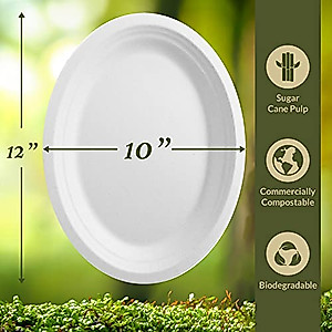 Reli. Compostable Oval Paper Plates, 12 Inch (125 Count) | White, Large Paper Plates | Heavy Duty, Disposable | Disposable Platters (12x10) | Made of Sugarcane Fibers, Bagasse- Biodegradable