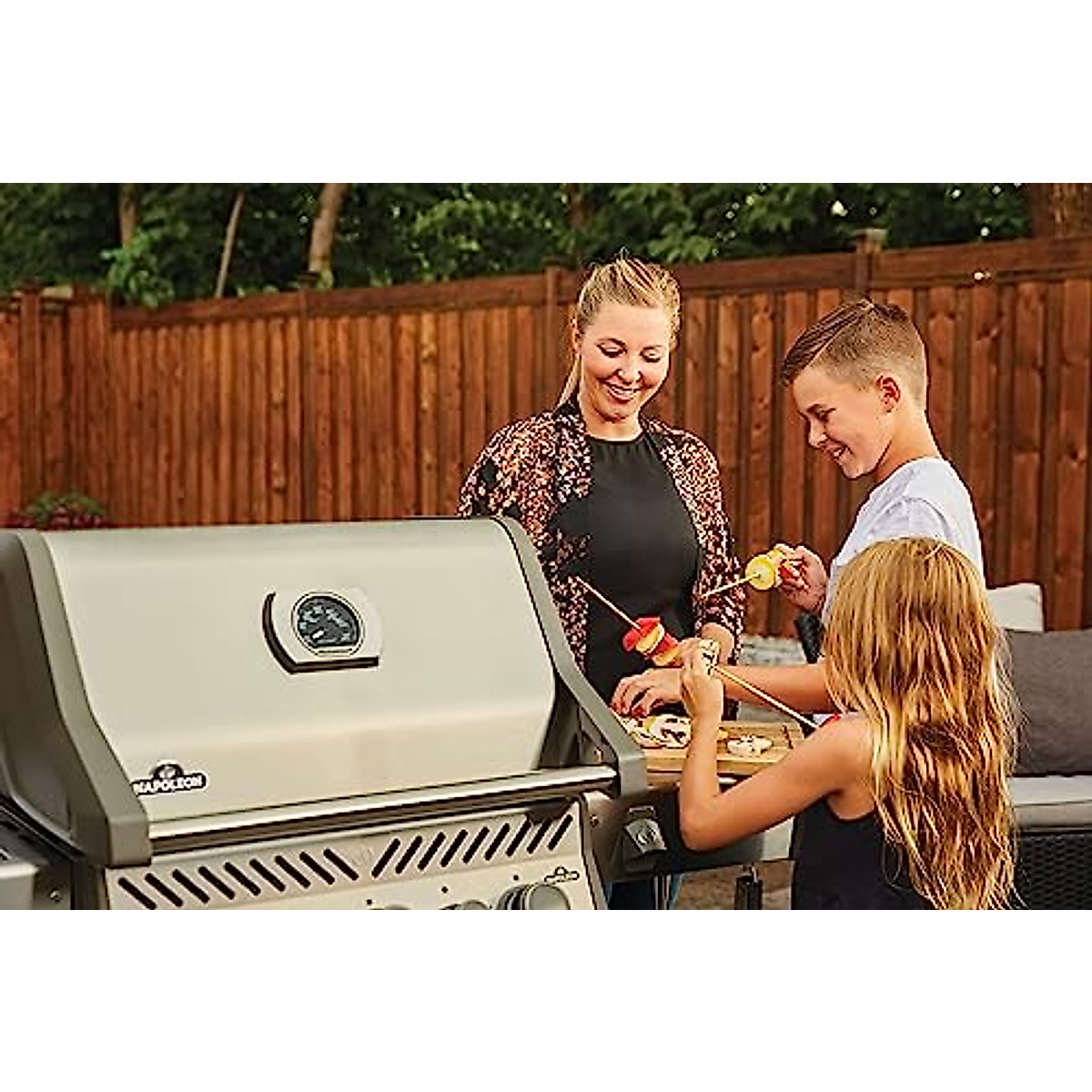 Napoleon Propane Gas Grill