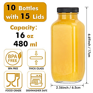 Ruckae 16oz 10pcs Glass Juice Bottles with Lids and Hole, Square Juicing Bottles Reusable Glass, Clear Glass Juicer Containers with Brush for Liquids, Juices, Smoothies, Salad Dressings, Picnics