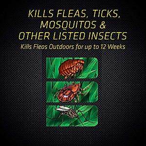 Black Flag Flea and Tick Killer Concentrate Yard Treatment, 32 Ounces, Ready To Spray, Quickflip Hose End Sprayer