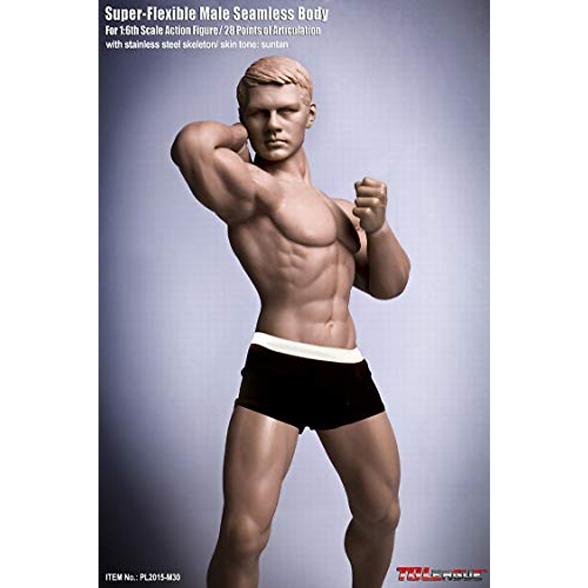 HiPlay TBLeague 1/6 Scale Seamless Male Action Figure Body- 12 Inch Super Flexible Collectible Figure Dolls (M30)