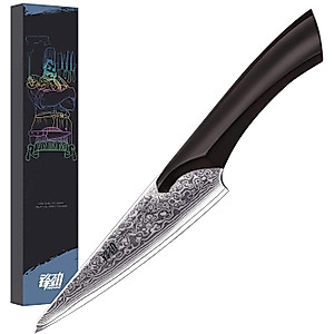 FINDKING 6 Inch Boning Knife, Damascus Steel Skinning Knife, Sharp Meat Knife for Bones (Cheetah Series, w/Ebony Wood Handle)