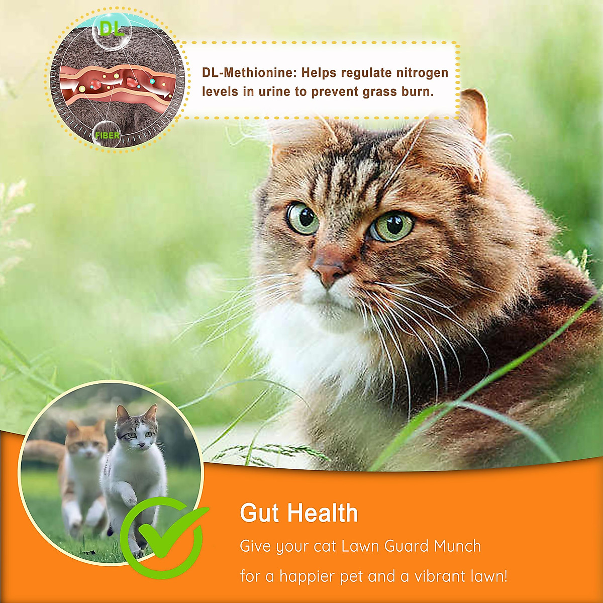 Munchy Chomps Lawn Guard Munch for Cats - Supports Urinary Tract & Gut Health - Prevents Yellow Spots on Grass - with DL-Methionine, Fiber & Probiotics (Bacon)