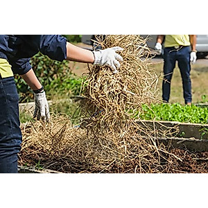 Premium Garden Straw (4 LBS) - Straw Mulch That is Designed for Use in Compost Beds, Gardens, Pet Bedding, Lawns and Much More. by Home and Country USA