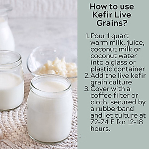 Milk Kefir Grains, Turkish Strain, Bulgaros, Pajaritos, Live Probiotic Starter. Kantu Live Starter Milk Kefir Grains: Cultivate Your Wellness with Probiotic Perfection at Home