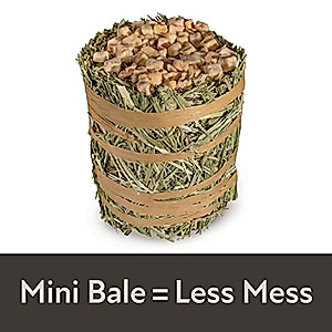 Kaytee Field+Forest Mini Hay Bale with Apple