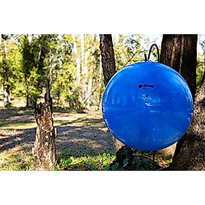 Deer Fly Ball Replacement Ball, 2 Pack- Odorless Eco-Friendly Biting Fly and Insect Killer with NO Pesticides or Electricity Needed, Kid and Pet Safe