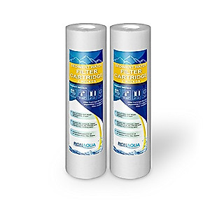 Sediment Water Filter Cartridge by Ronaqua 10"x 2.5", Four Layers of Filtration, Removes Sand, Dirt, Silt, Rust, made from Polypropylene (2 Pack, 1 Micron)