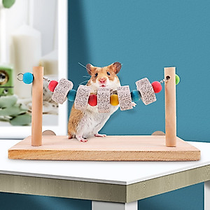 Ipetboom Chew Toys Chinchilla Toys Tabletop Parrot Stand Cage Parrot Toy Parrot Accessories Parrot Perch Stands Bird Toy Cage Bird Perch Bird Training Perch Parrot Swing Toy Cage Bird Stand