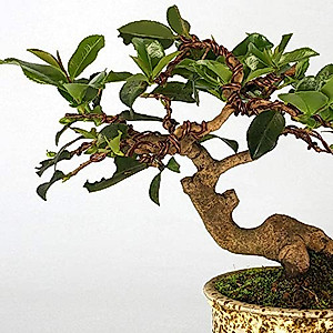 20 PCS Round Bonsai Pot Bottom Grid Mat Mesh, Airlxf Flower Pot Hole Mesh Pad for Bonsai Pot Mesh Drainage Screens Prevent Soil with 3 Roll Anodized Aluminum Wire Soft for DIY Jewelry Craft Making