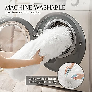 Ashler Faux Fur Rug, Fluffy Shaggy Area Rug Ultra Soft 2 x 3 Feet Sheepskin Fur Rug, Black Fuzzy Rug Machine Washable Shag Rug, Nursery Decor Throw Rugs for Bedroom, Kids Room, Living Room