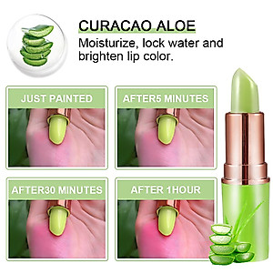 BINGBRUSH Color Changing Lipstick Queen,PH Mood Long Lasting Lip Gloss Korean Lip Balm Tinted Magic Makeup Moisturize Lipstick Set (2pcs Aloe, 2 Count (Pack of 1))