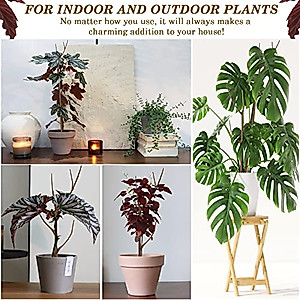 Twig Plant Support Stakes - Set of 4, 27.5 inch | Detachable Trellis for Potted Plants | Perfect Alternative to Moss Pole for Monstera and Other Climbing Houseplants Brown