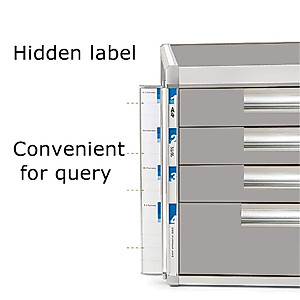 BIZOLE Flat File Cabinet Storage, Desktop Drawer Cabinet, 4/5 Tier Aluminum Alloy File Cabinet, Office Supplies A4/Receipt File Organizer, for Desktop Office Supplies and Home (Color : 5 Layers)