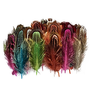 100 pcsHappy Feather Natural Pheasant Plumage Feathers 2-3 Inches Plumage Feathers for Sewing Crafts Clothing Decorating Accessories -Multi Color