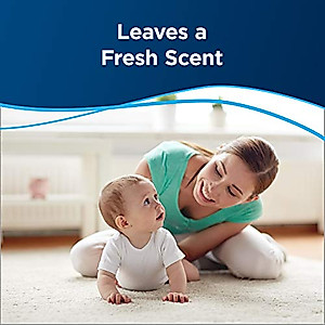 Bissell Professional Spot and Stain + Oxy Portable Machine Formula, 2-Pack, 20389, 64 Fl Oz