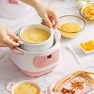 1L Electric Stew Pot, 200W Versatile Cooker with Anti Dry Burn Intelligent Reservation Compact Size for Porridge Rice Soup Cooker (US Plug 110V)