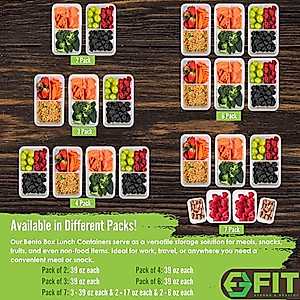 FIT Strong & Healthy Bento Lunch Box & Meal Prep Containers, Food & Snack Storage for Adults & Kids, Microwave, Freezer, & Dishwasher Safe, Reusable, Airtight Lid, Removable Compartments, 39oz, 2 Pack