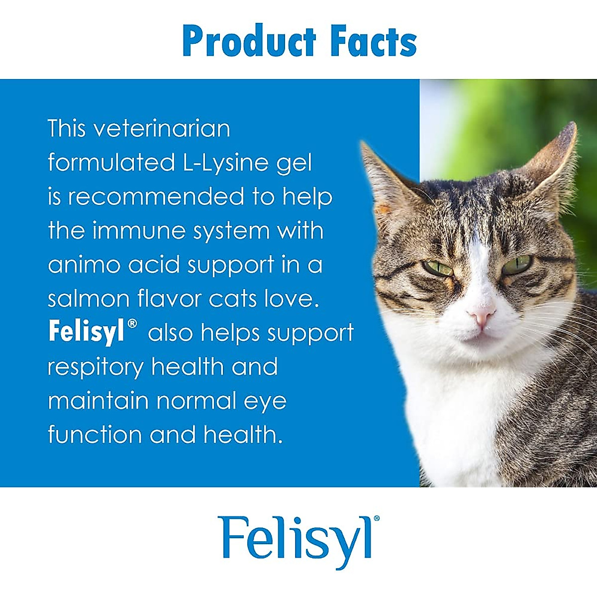 Felisyl Immune System Support for Cats - Amino Acid L-Lysine - Produce Antibodies - Healthy Tissue, Respiratory Health, Vision - 60 Soft Chews