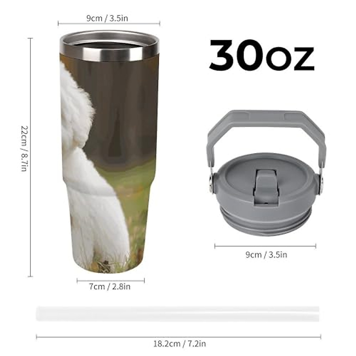 RTFGHJS Bichon Frise Dog 30 Oz Tumbler with Handle And Flip Straw, Stainless Steel Vacuum Insulated Travel Mug, Thermal Cup for Coffee, Water, Iced Drinks, Fits Car Cup Holders (Home, Sports)